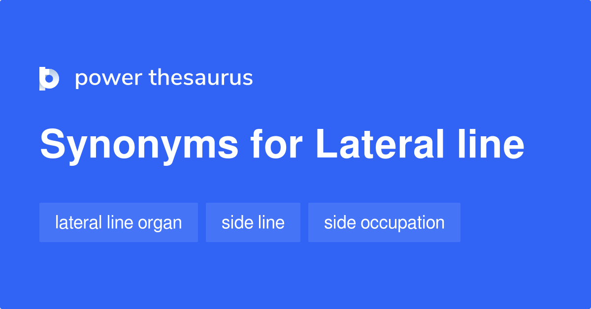 Lateral Line synonyms - 12 Words and Phrases for Lateral Line
