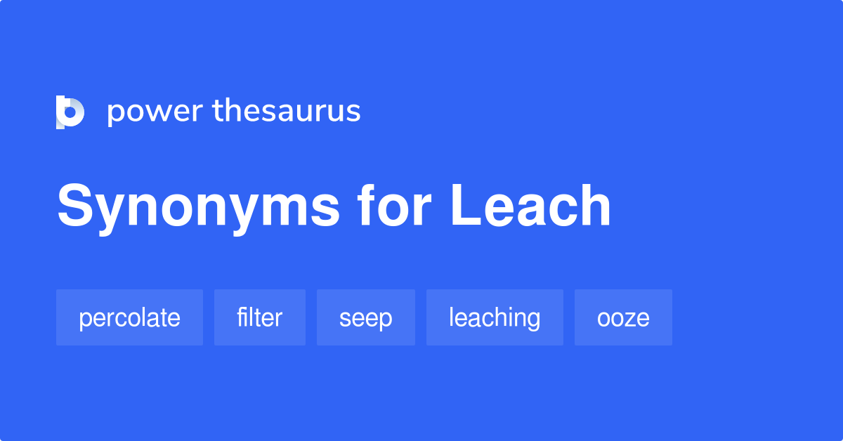 LEACH Synonyms: 296 Similar Words & Phrases