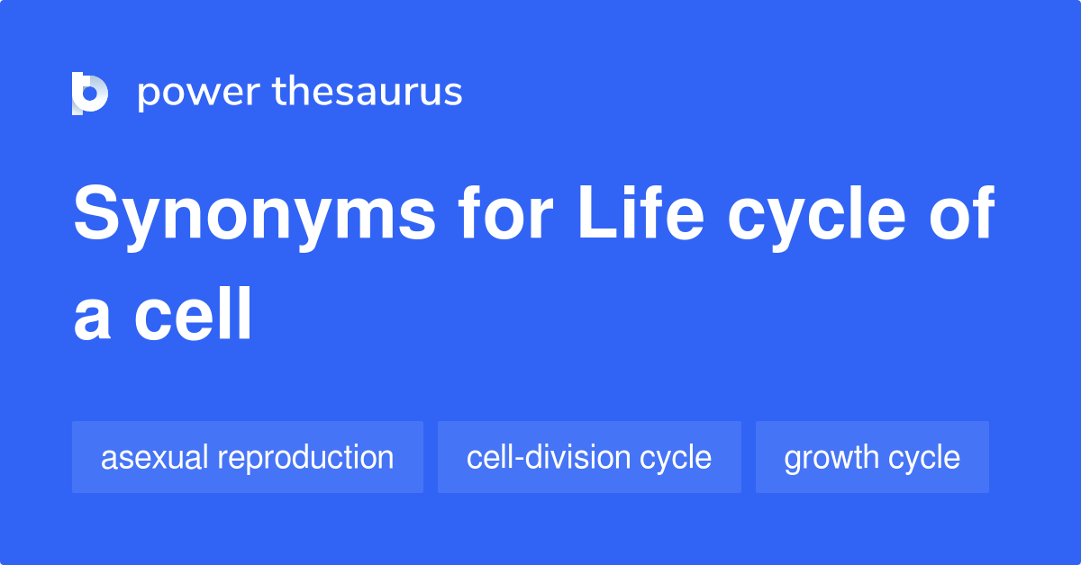 Life Cycle Of A Cell synonyms - 4 Words and Phrases for Life Cycle Of A ...