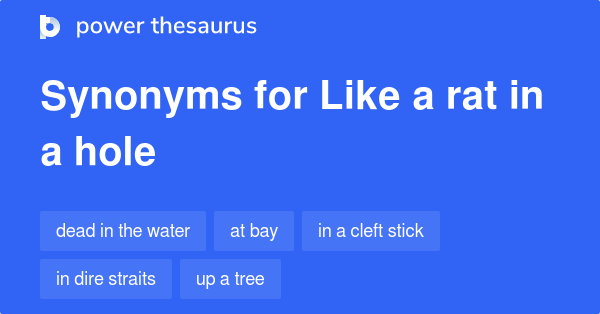 LIKE A RAT IN A HOLE Synonyms: 18 Similar Phrases