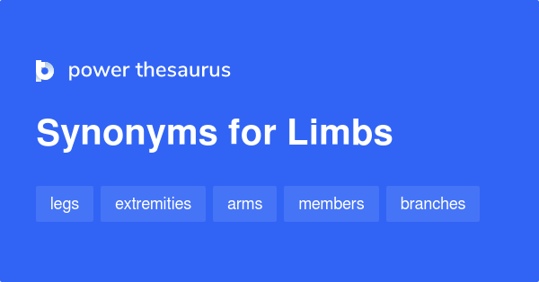 LIMBS Synonyms: 426 Similar Words & Phrases