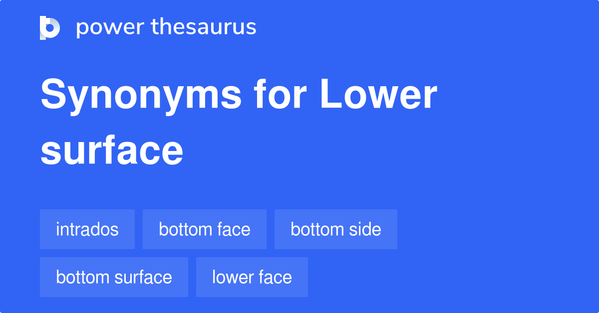 Lower Surface synonyms - 42 Words and Phrases for Lower Surface