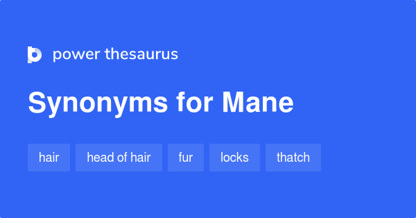 MANE Synonyms: 454 Similar Words & Phrases