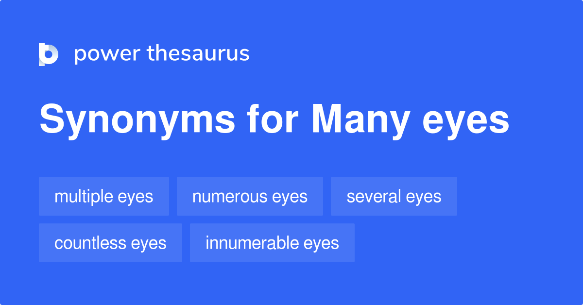 MANY EYES Synonyms: 15 Similar Phrases