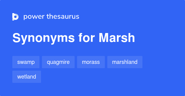 MARSH Synonyms: 559 Similar Words & Phrases
