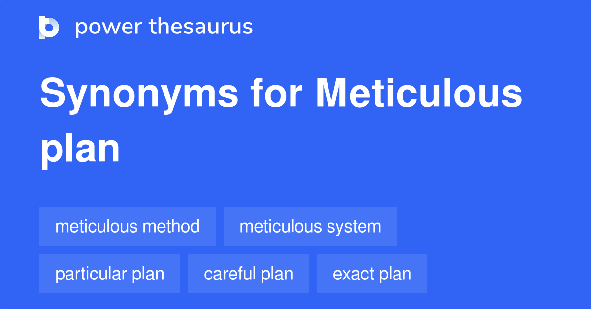 METICULOUS PLAN Synonyms: 18 Similar Phrases