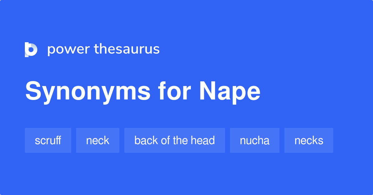 NAPE Synonyms: 181 Similar Words & Phrases