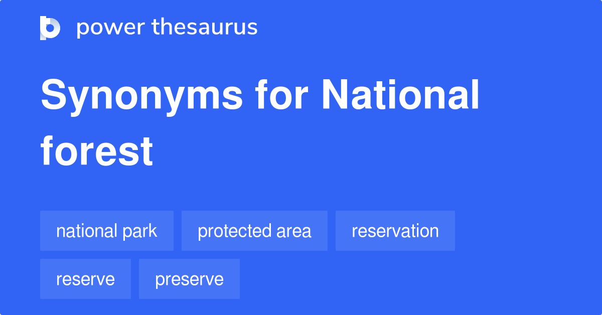 NATIONAL FOREST Synonyms: 64 Similar Words & Phrases