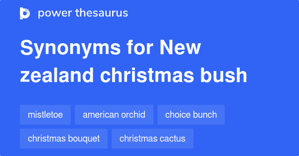New Zealand Christmas Bush synonyms - 79 Words and Phrases for New ...
