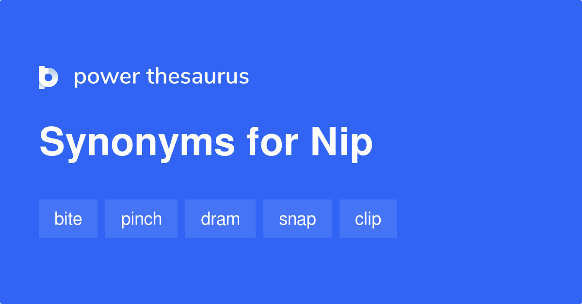 NIP Synonyms: 2 067 Similar Words & Phrases