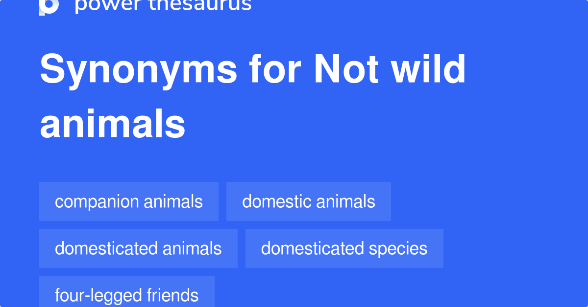 Not Wild Animals synonyms - 29 Words and Phrases for Not Wild Animals