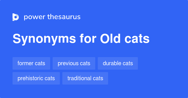 Old Cats synonyms - 22 Words and Phrases for Old Cats