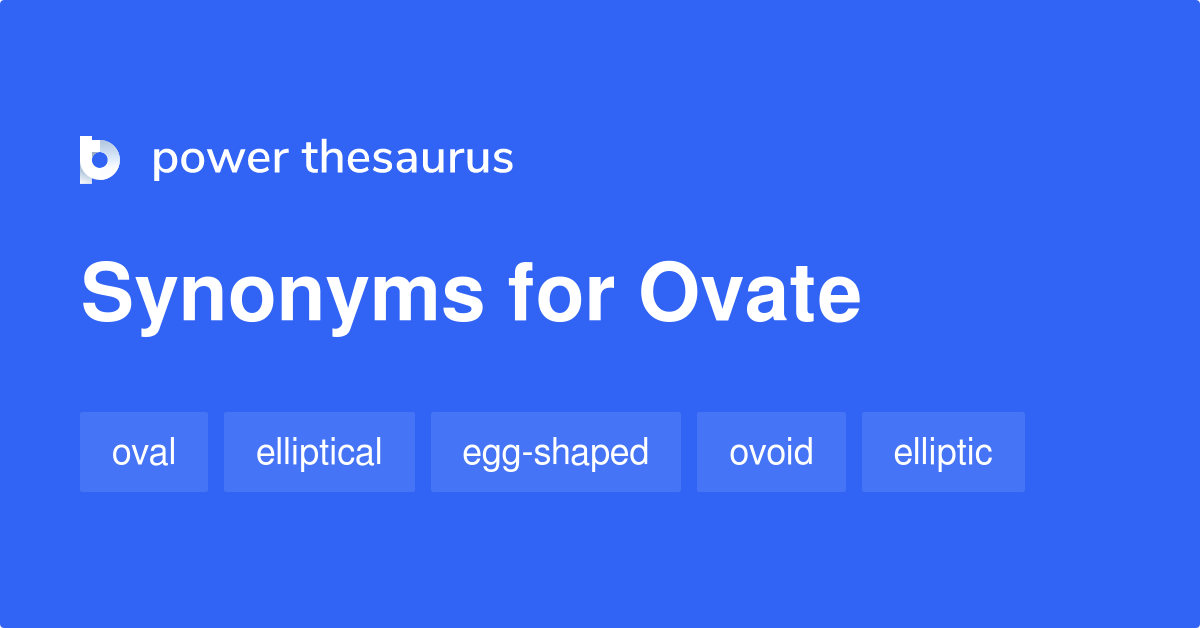 121 OVATE Synonyms