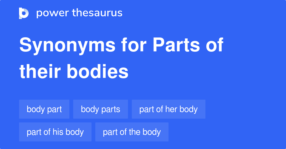 Parts Of Their Bodies synonyms - 18 Words and Phrases for Parts Of ...