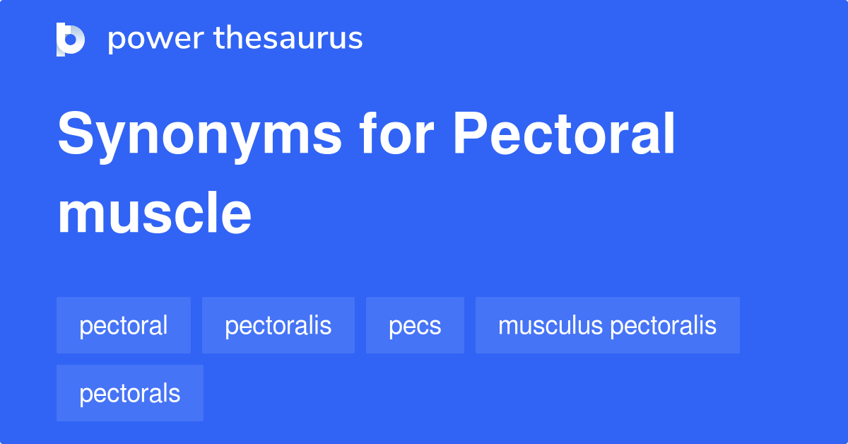 Pectoral Muscle synonyms - 9 Words and Phrases for Pectoral Muscle