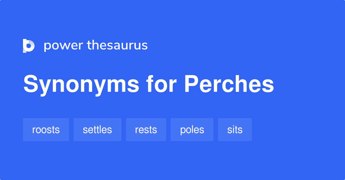 311 PERCHES Synonyms