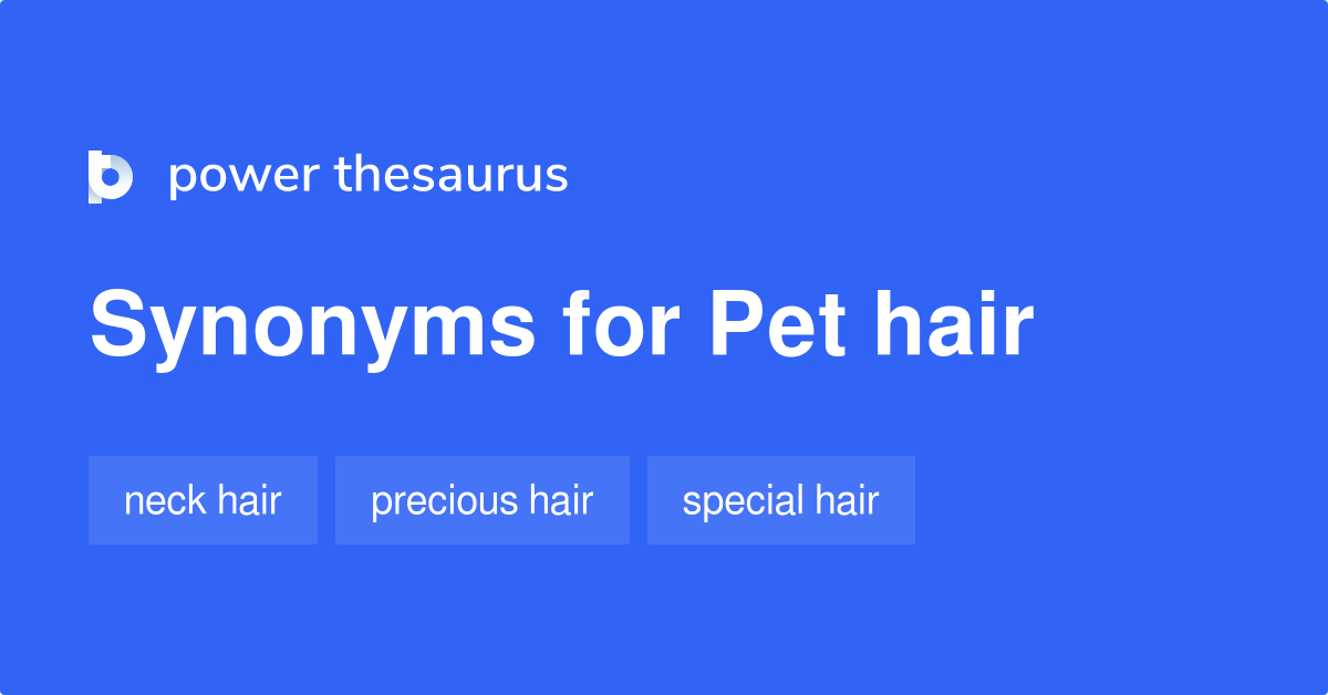 PET HAIR Synonyms: 30 Similar Phrases