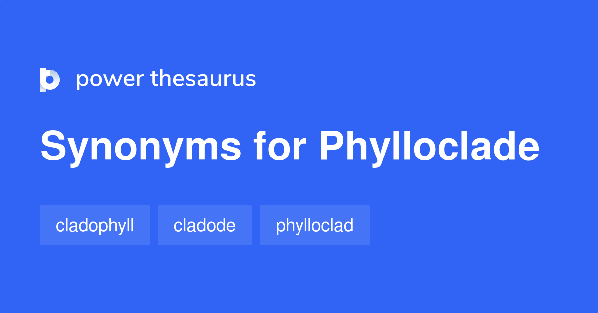 Phylloclade