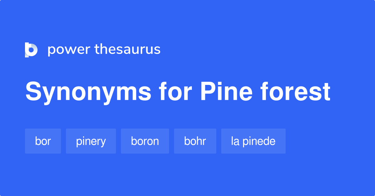 PINE FOREST Synonyms: 158 Similar Words & Phrases