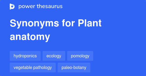Plant Anatomy synonyms - 53 Words and Phrases for Plant Anatomy