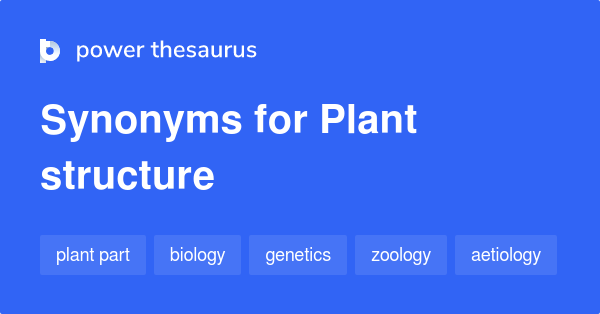 PLANT STRUCTURE Synonyms: 55 Similar Words & Phrases