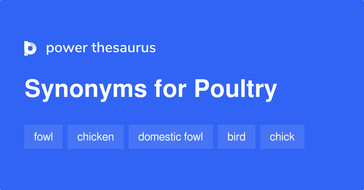 POULTRY Synonyms: 591 Similar Words & Phrases