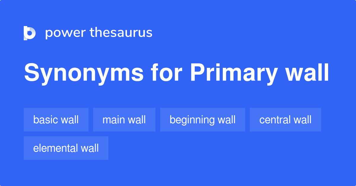 Primary Wall synonyms - 9 Words and Phrases for Primary Wall