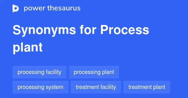 Process Plant synonyms - 40 Words and Phrases for Process Plant