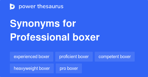 Professional Boxer synonyms - 27 Words and Phrases for Professional Boxer
