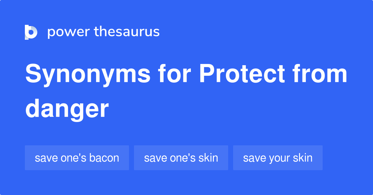 Protect From Danger synonyms - 10 Words and Phrases for Protect From Danger