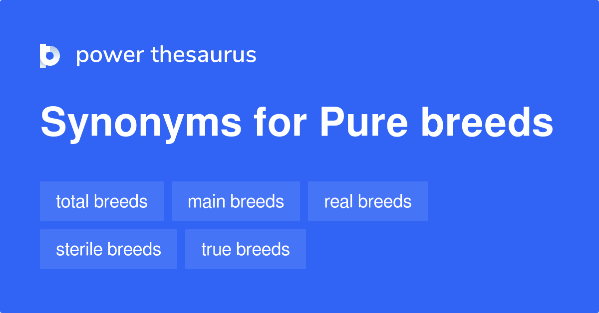 Pure Breeds synonyms - 31 Words and Phrases for Pure Breeds