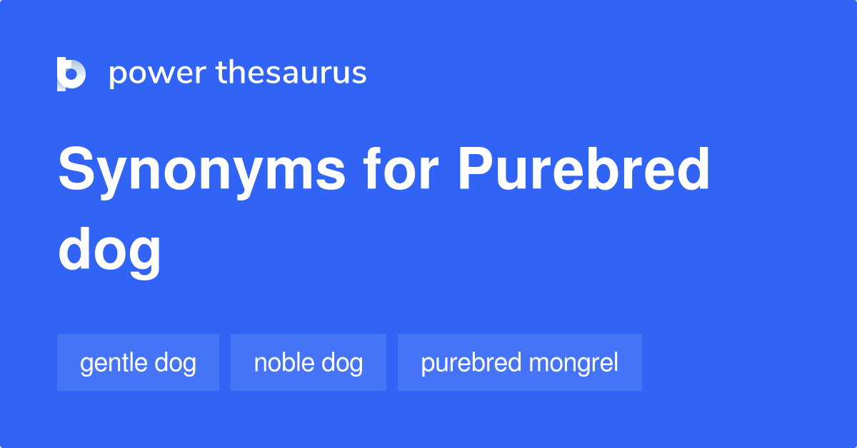 PUREBRED DOG Synonyms: 36 Similar Phrases