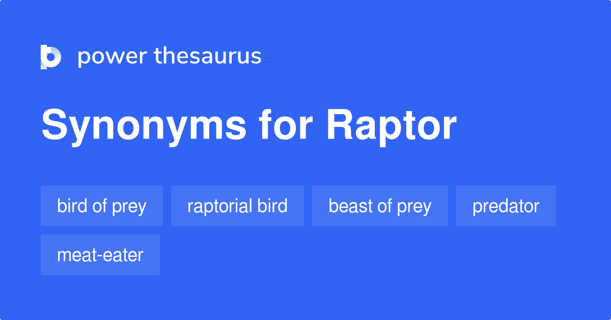 RAPTOR Synonyms: 534 Similar Words & Phrases