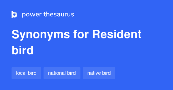 Resident Bird synonyms - 35 Words and Phrases for Resident Bird