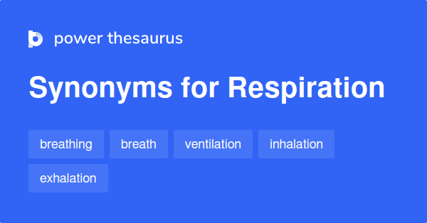 RESPIRATION Synonyms: 371 Similar Words & Phrases