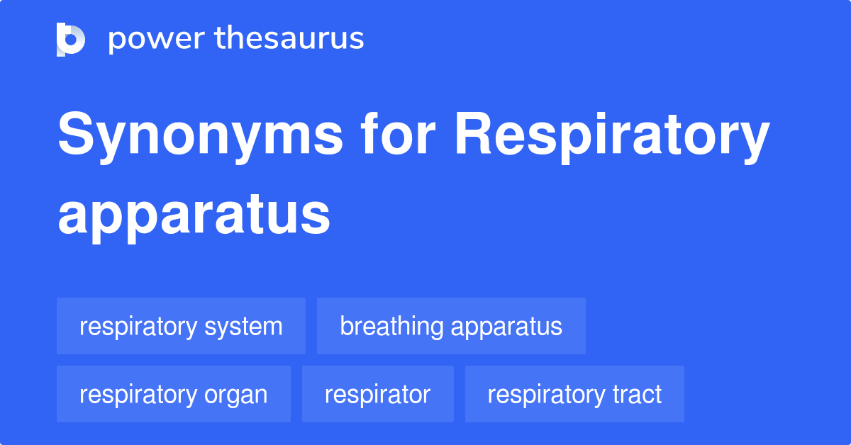Respiratory Apparatus synonyms - 25 Words and Phrases for Respiratory ...