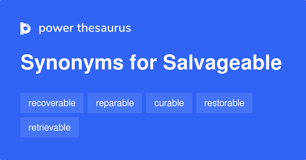 SALVAGEABLE Synonyms: 137 Similar Words & Phrases