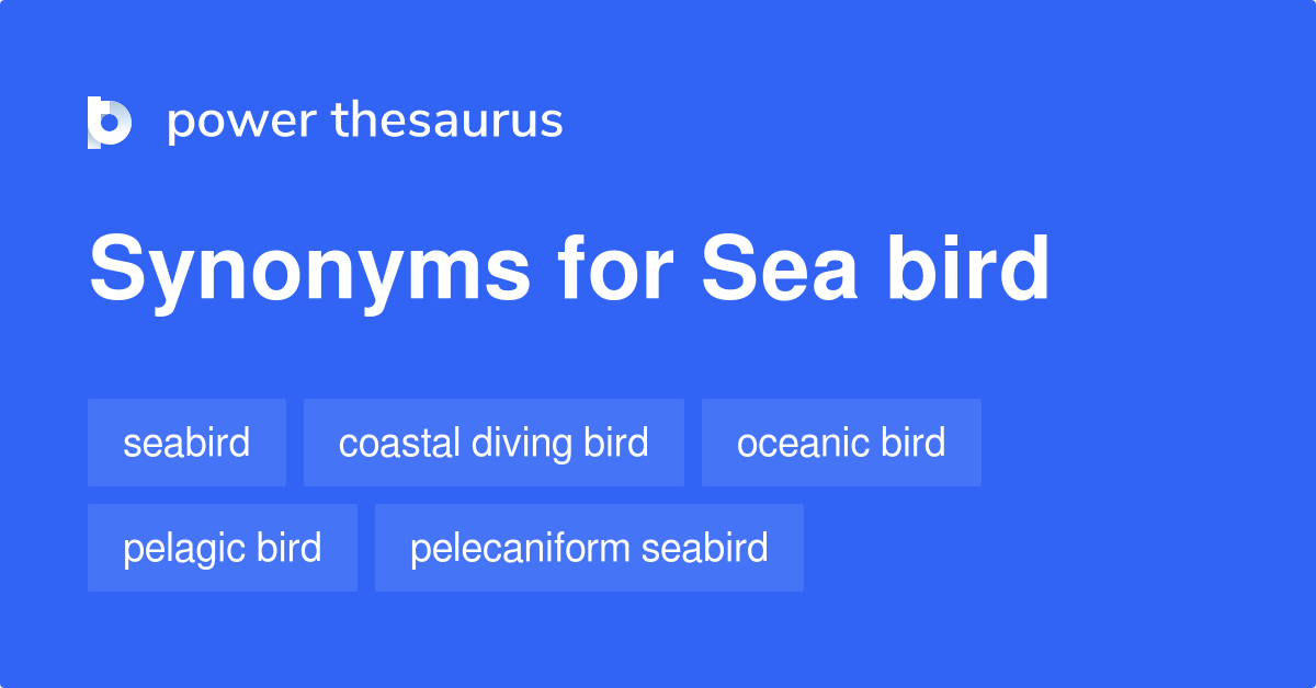 SEA BIRD Synonyms: 169 Similar Words & Phrases
