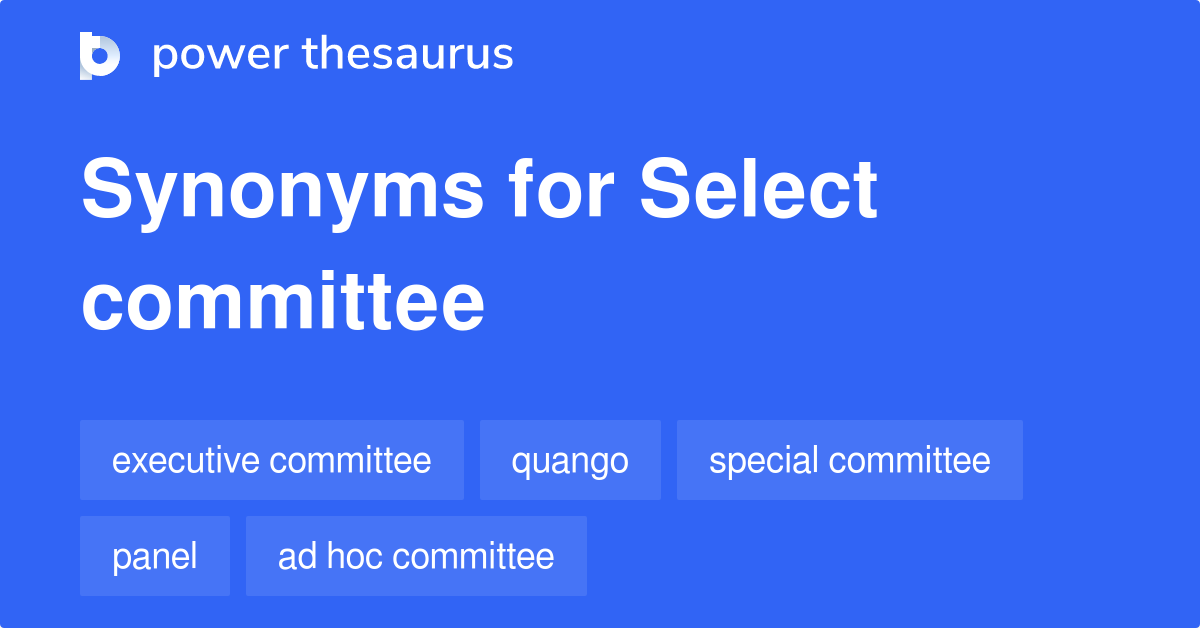 Select Or Special Committee