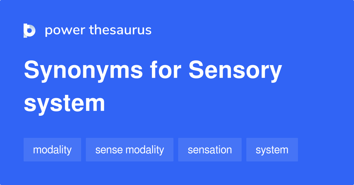 Sensory System synonyms - 108 Words and Phrases for Sensory System
