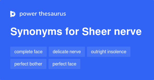 Sheer Nerve synonyms - 25 Words and Phrases for Sheer Nerve