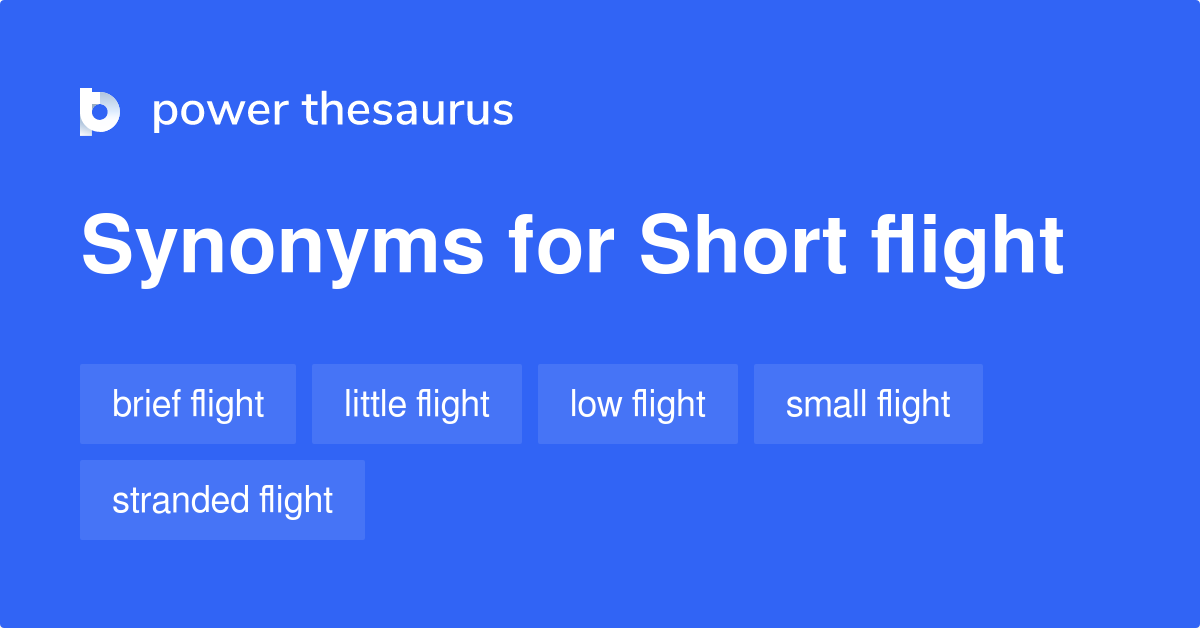 SHORT FLIGHT Synonyms: 11 Similar Words & Phrases
