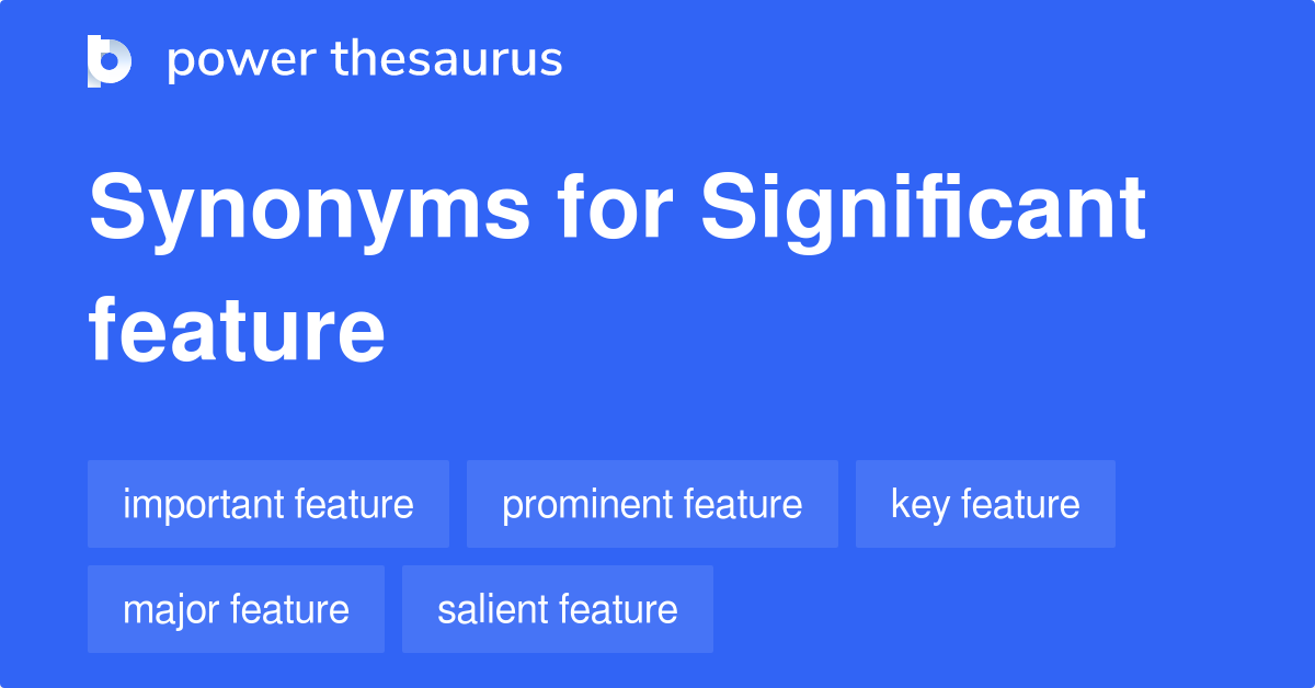 SIGNIFICANT FEATURE Synonyms: 323 Similar Phrases