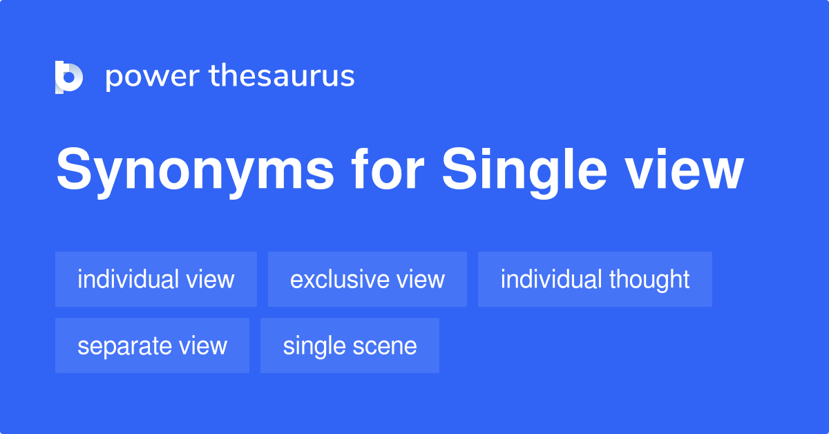 SINGLE VIEW Synonyms: 11 Similar Phrases
