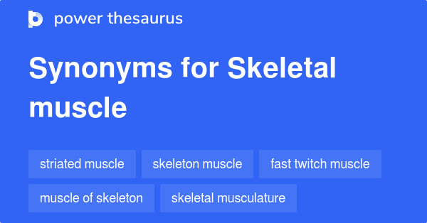 SKELETAL MUSCLE Synonyms: 108 Similar Words & Phrases