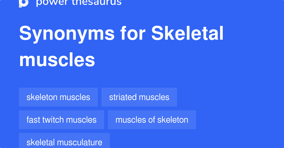Skeletal Muscles synonyms - 11 Words and Phrases for Skeletal Muscles