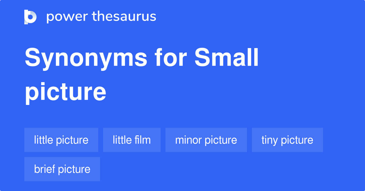 SMALL PICTURE Synonyms: 148 Similar Words & Phrases