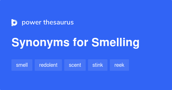SMELLING Synonyms: 398 Similar Words & Phrases