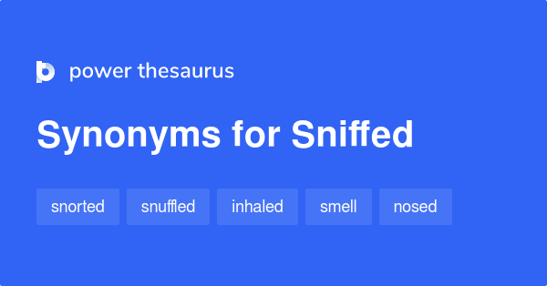 SNIFFED Synonyms: 132 Similar Words & Phrases