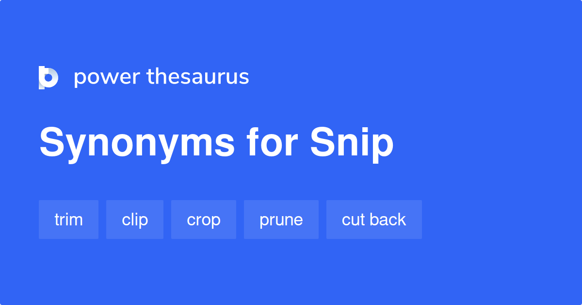 SNIP Synonyms: 1 246 Similar Words & Phrases